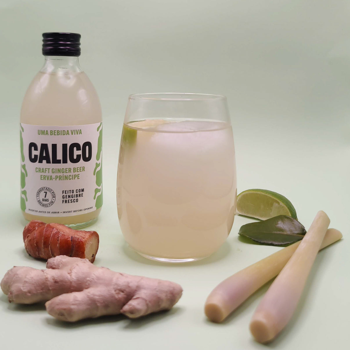 Lemongrass Ginger Beer – Calico Drinks